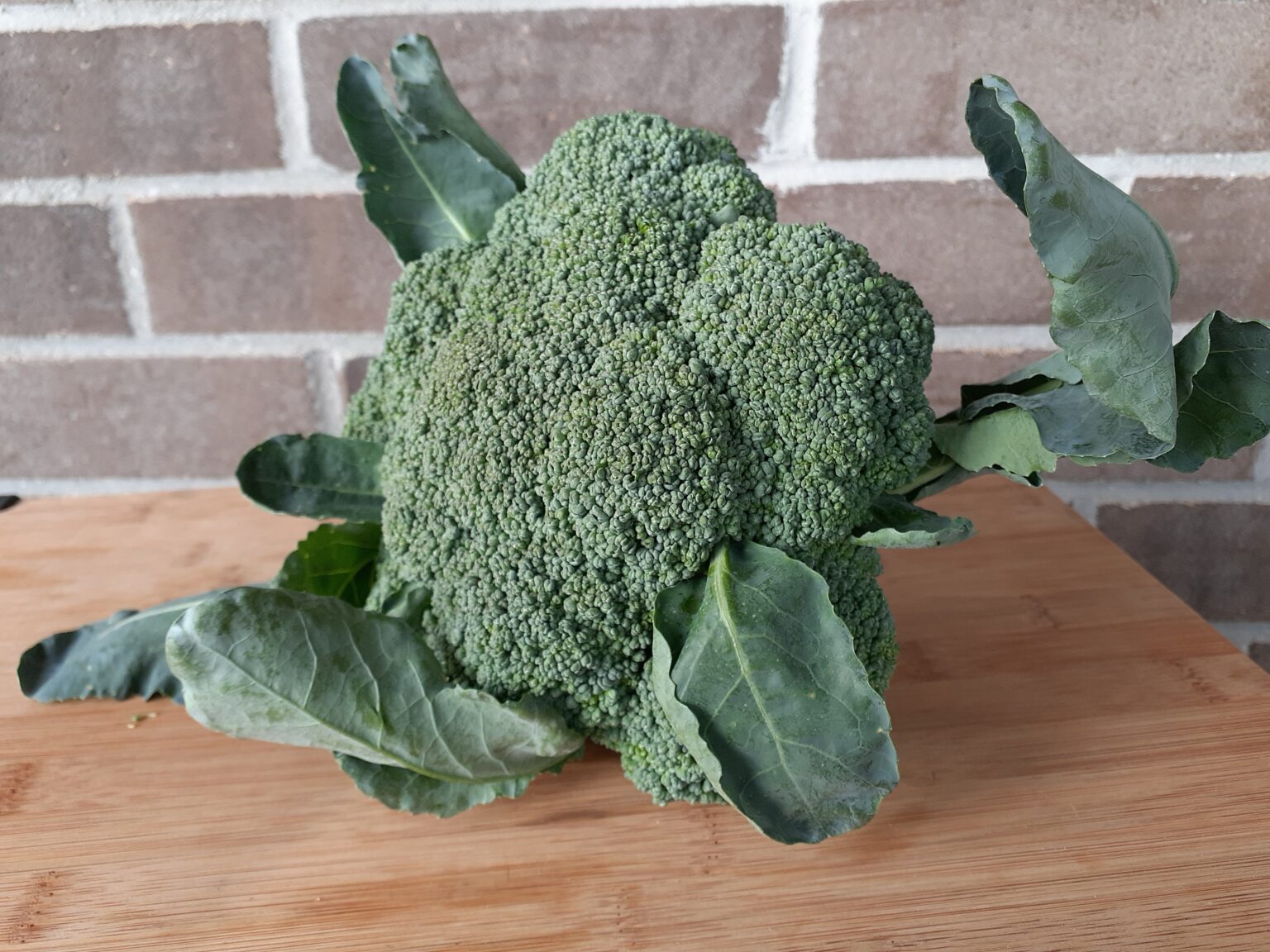 Broccoli Bunch (2 smaller heads) – Gmach Gardens